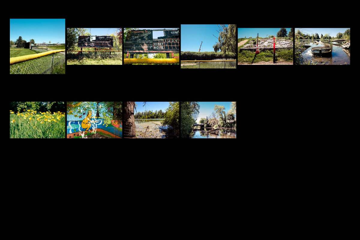 Whitaker Ponds Nature Park – Portland In Pictures